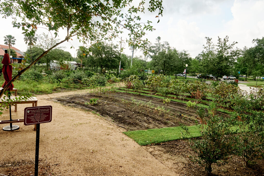 City Park Learning Landscape - Christian Brothers School